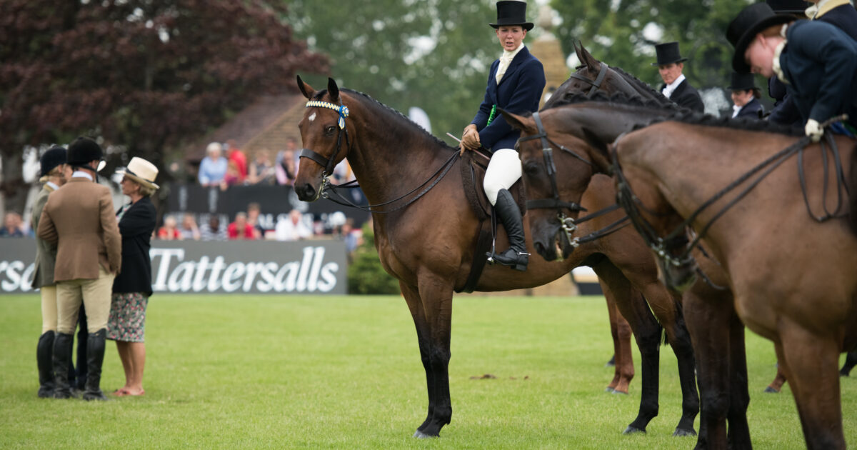 Bradstock duo head RoR horses parading at Newbury - Retraining of ...