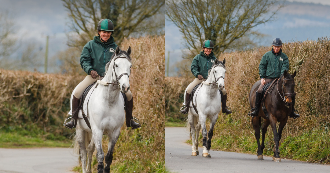 Double your donations to RoR this Christmas | Retraining of Racehorses