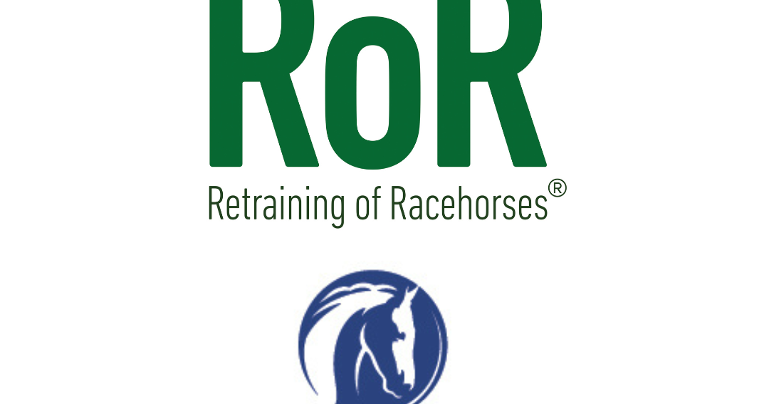 RoR steps in to rescue Irish Thoroughbreds… | Retraining of Racehorses