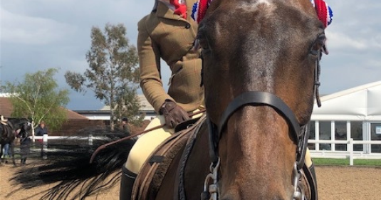 The love affair - by Hayley Clements | Retraining of Racehorses