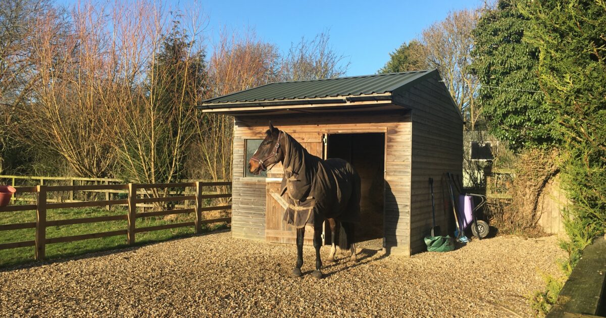 The Power of Thoroughbreds Week 2 – RoR - Retraining of Racehorses