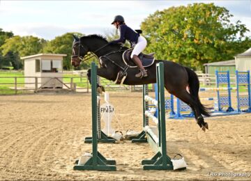 Vote for RoR Horse of the Year Award 2026 | Retraining of Racehorses
