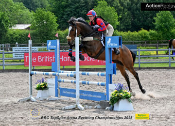 Vote for RoR Horse of the Year Award 2026 | Retraining of Racehorses